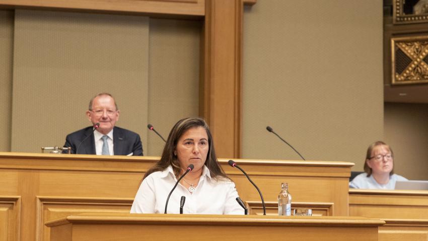 Barbara Agostino, nouvelle députée dans les rangs du DP | Chambre des ...